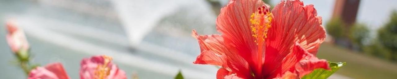 Pivot-RP - Office of Sponsored Programs - Grand Valley State University